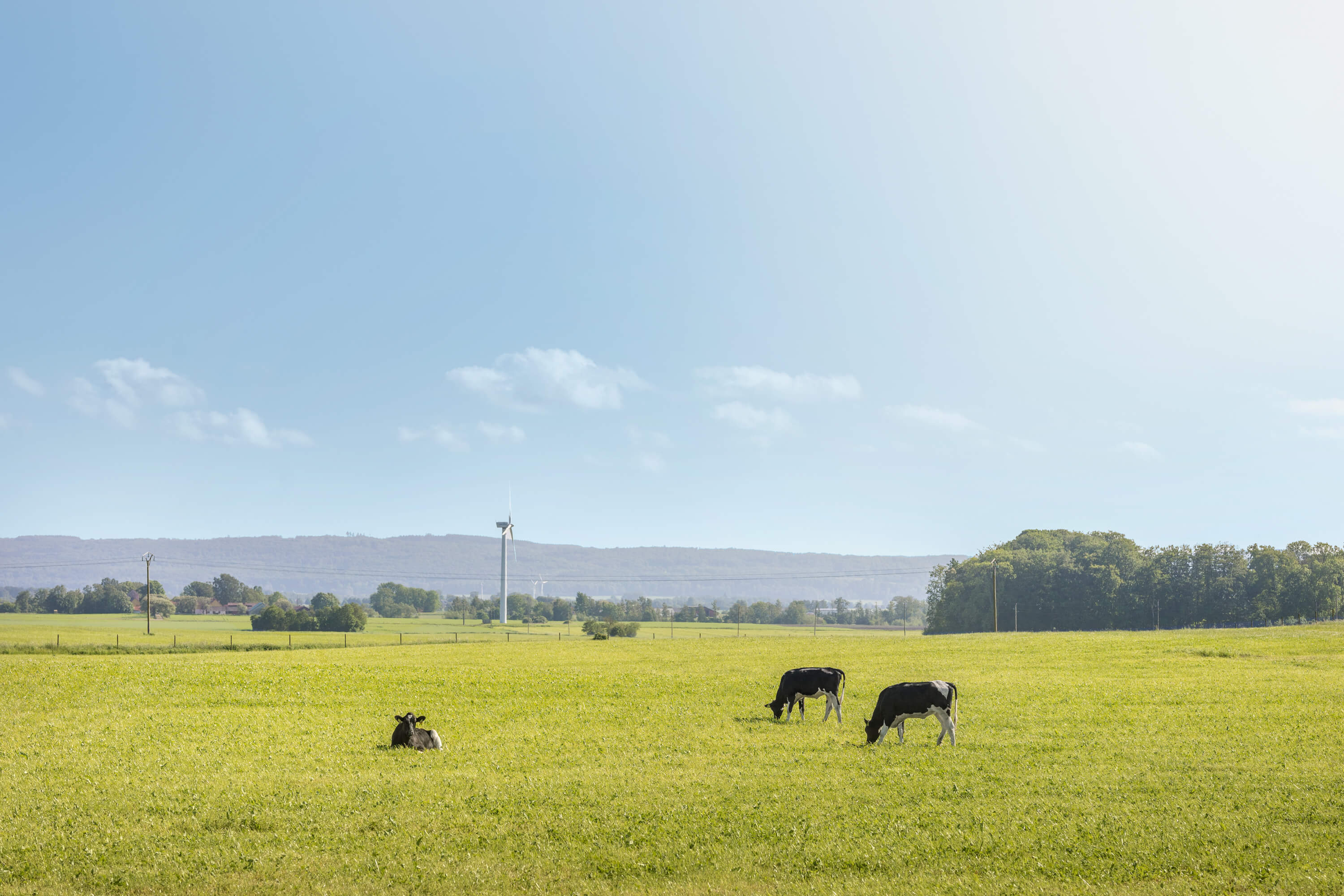 Skånemejerier slipper bekymra sig för tekniken - Visma Enterprise